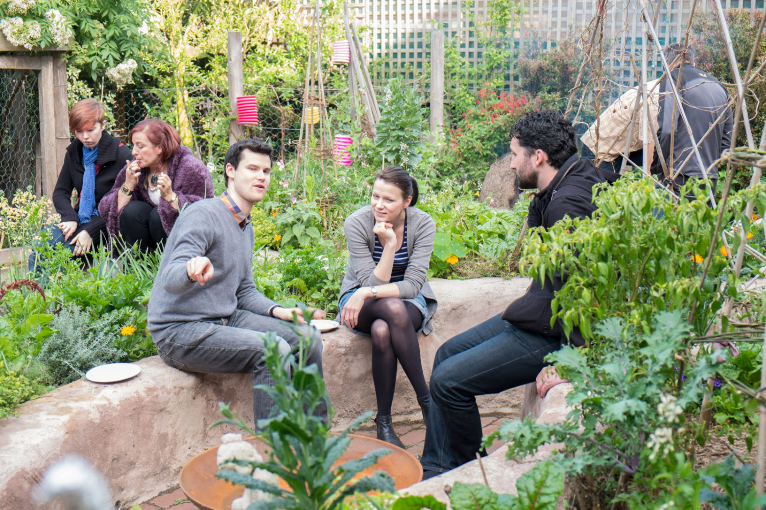 Urban Permaculture Guide: Benefits, Principles & Examples for Urban Gardens