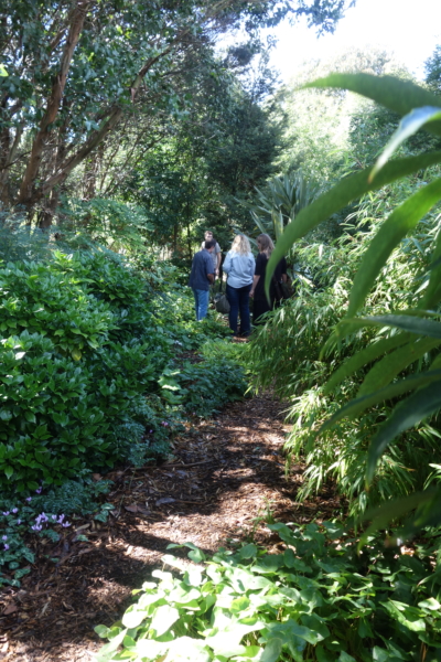 Simon Rickard's Garden - The Desert Echo